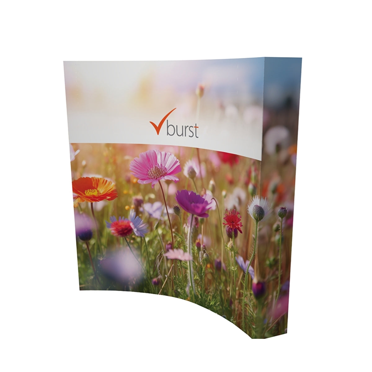 Curved Backlit VBurst Display | 10 x 10 Trade Show Displays ...